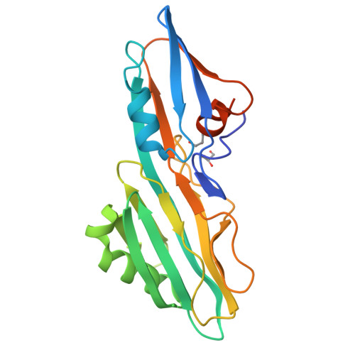 RCSB PDB - 8ERM: Crystal structure of FliC D2/D3 domains from ...