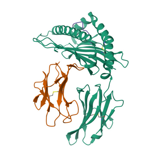RCSB PDB - 8ESH: Structure of chimeric HLA-A*02:01 bound to CMV peptide
