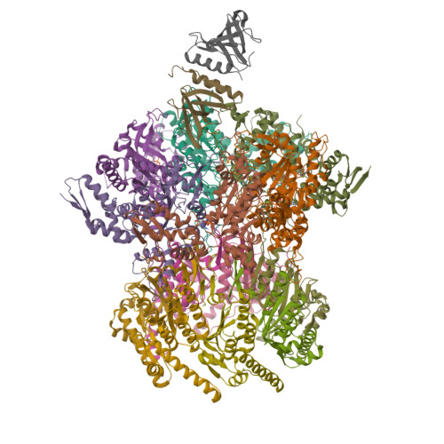 RCSB PDB - 8ET3: Cryo-EM structure of a delivery complex containing the ...