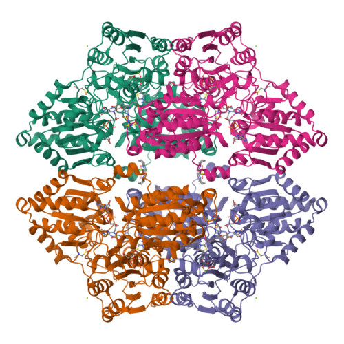 RCSB PDB - 8ET4: Crystal structure of wild-type arabidopsis thaliana ...
