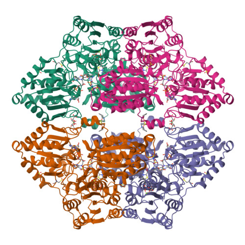 RCSB PDB - 8ET5: Crystal structure of arabidopsis thaliana ...