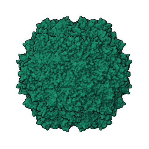 RCSB PDB - 8EU7: Acheta domesticus segmented densovirus VP-ORF1 virus ...