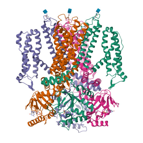RCSB PDB - 8EUC: Cryo-EM structure of cGMP bound human CNGA3/CNGB3 ...