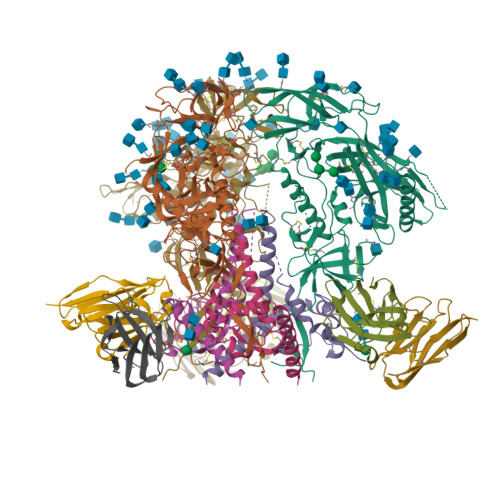 RCSB PDB - 8EUV: Cryo-EM structure of HIV-1 BG505 DS-SOSIP ENV trimer ...