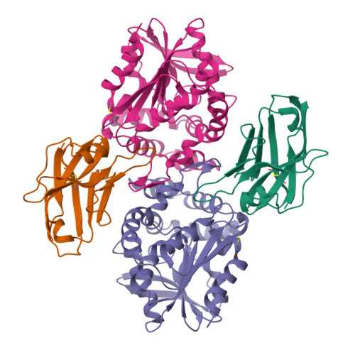 RCSB PDB - 8EVD: Crystal Structure of Nanobody VHH101 Bound to Its ...