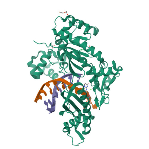 RCSB PDB - 8EVE: HUMAN DNA POLYMERASE ETA INSERTION COMPLEX