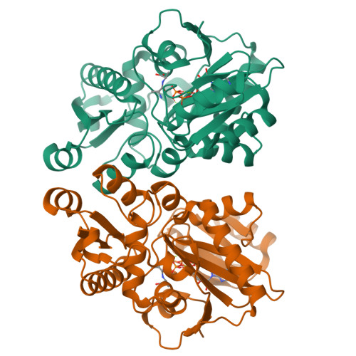 RCSB PDB - 8EVY: DdlB from Pseudomonas aeruginosa PAO1 in complex with ...