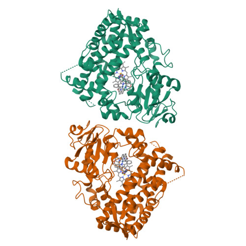 RCSB PDB - 8EWL: Crystal structure of CYP3A4 bound to an inhibitor