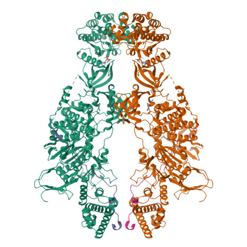 RCSB PDB - 8EWY: Structure of Janus Kinase (JAK) dimer complexed with ...