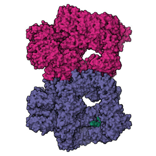 RCSB PDB - 8EZ9: Dimeric complex of DNA-PKcs