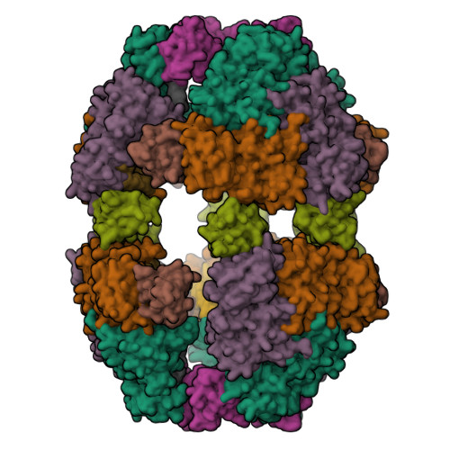 RCSB PDB - 8F1T: Structure of an 18mer DegP cage bound to the client ...
