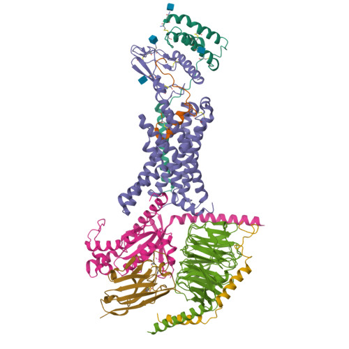 RCSB PDB - 8F2A: Human Amylin3 Receptor in complex with Gs and ...
