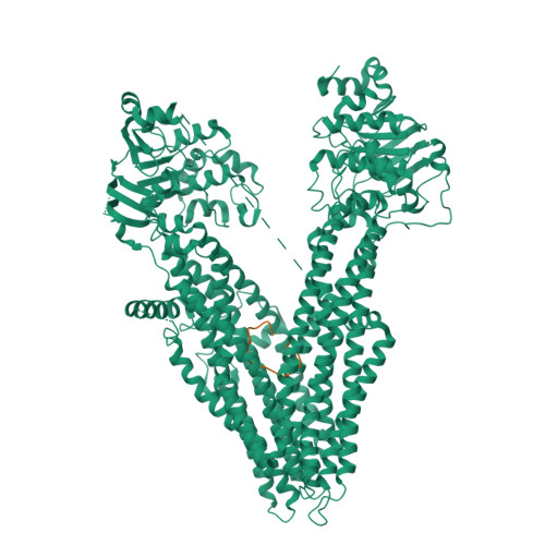 RCSB PDB - 8F4B: Bovine multidrug resistance protein 1 (MRP1) bound to ...