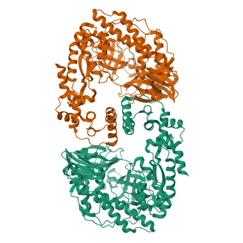 RCSB PDB - 8F5M: Crystal structure of P74 gp62