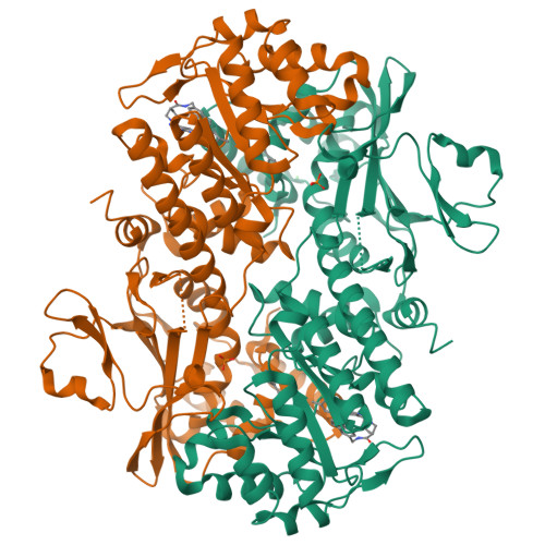 RCSB PDB - 8F7L: Human NAMPT in complex with substrate NAM and small ...