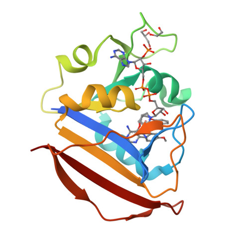 RCSB PDB - 8F80: Crystal Structure of Dihydrofolate reductase (DHFR ...