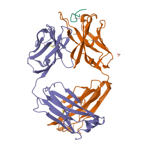 RCSB PDB - 8F9W: Crystal structure of Ky15.8 Fab in complex with ...
