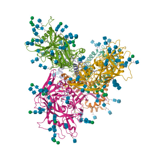 RCSB PDB - 8FAD: Asymmetric structure of cleaved HIV-1 AD8 envelope ...