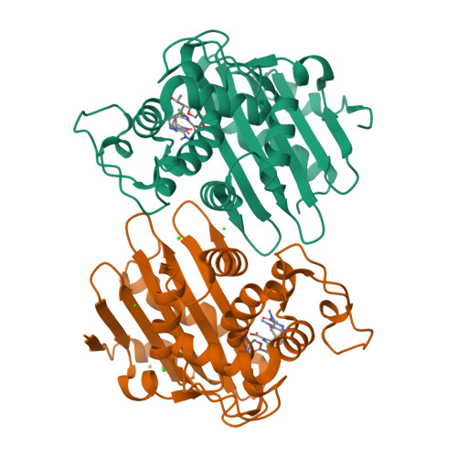 RCSB PDB - 8FAJ: OXA-48-NA-1-157 inhibitor complex