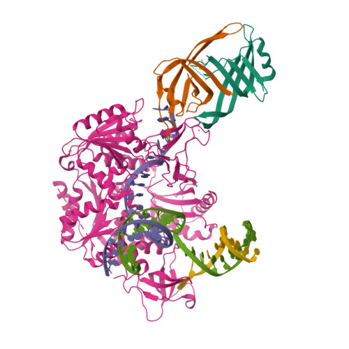 RCSB PDB - 8FAK: DNA replication fork binding triggers structural ...