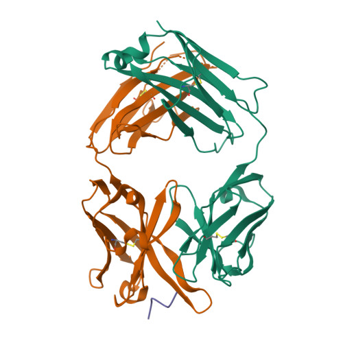 RCSB PDB - 8FAN: Crystal structure of Ky15.1 Fab in complex with ...
