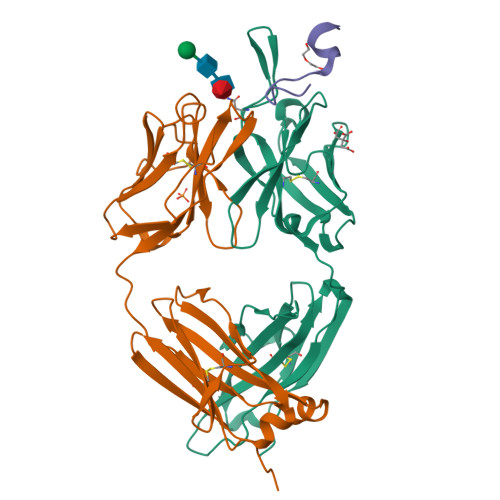 RCSB PDB - 8FBW: Crystal structure of SIV-1 V2 antibody NCI05 in ...