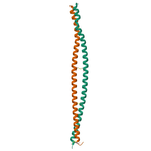 RCSB PDB - 8FBY: Crystal structure of PLVAP CC1 determined by sulfur SAD