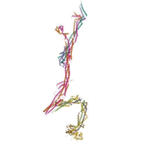 RCSB PDB - 8FCK: Structure of the vertebrate augmin complex