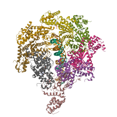 RCSB PDB - 8FCV: Cryo-EM structure of TnsC-TniQ-DNA complex in type I-B ...