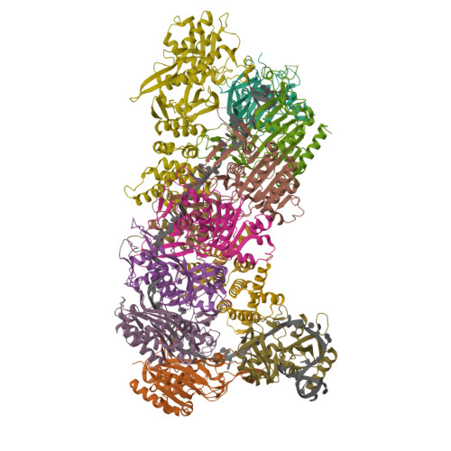 RCSB PDB - 8FD2: Cryo-EM structure of Cascade complex in type I-B CAST ...