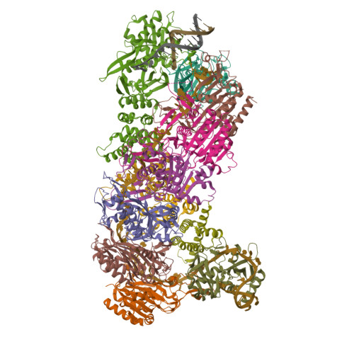 RCSB PDB - 8FD3: Cryo-EM structure of Cascade-PAM complex in type I-B ...