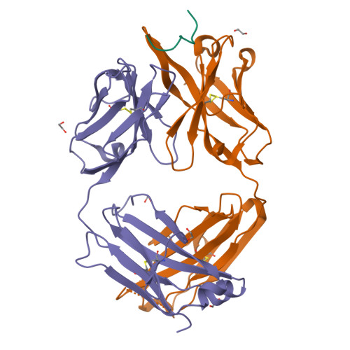 RCSB PDB - 8FDC: Crystal structure of Ky311 Fab in complex with ...
