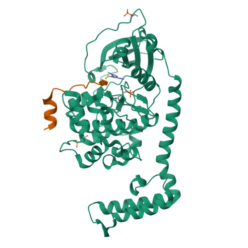 RCSB PDB - 8FE2: Structure of J-PKAc chimera complexed with Aplithianine A
