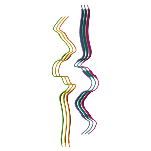 RCSB PDB - 8FF3: Amyloid-beta (1-40) fibrils derived from familial ...