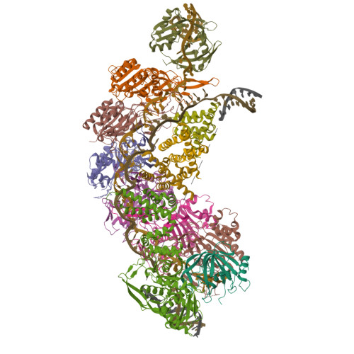 RCSB PDB - 8FF5: Cryo-EM structure of Cascade-DNA-fullRloop in type I-B ...