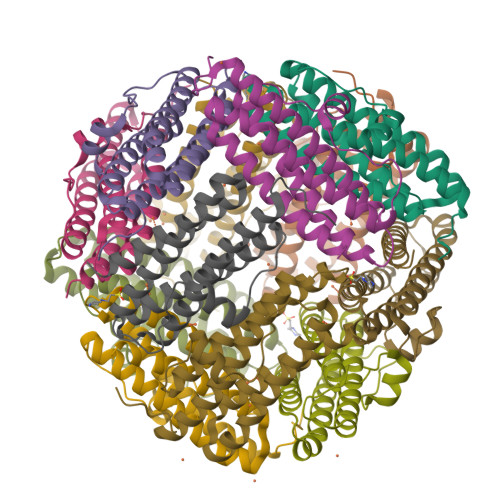 RCSB PDB - 8FFC: Crystal structure of iron bound Dps protein (PA0962 ...