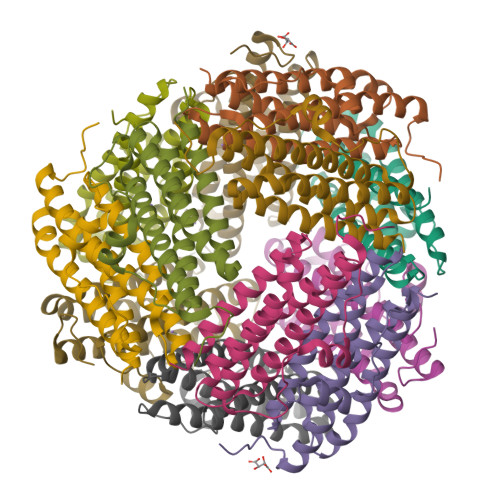 RCSB PDB - 8FFD: Crystal structure of manganeese bound Dps protein ...