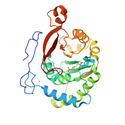 RCSB PDB - 8FJM: Crystal Structure of the Trypanosoma brucei DOT1A ...