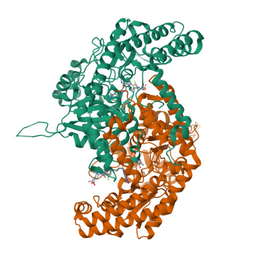 RCSB PDB - 8FJU: Human mitochondrial serine hydroxymethyltransferase ...
