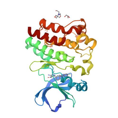 RCSB PDB - 8FLN: Crystal structure of BTK C481S kinase domain in ...