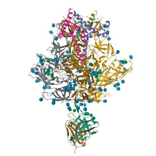 RCSB PDB - 8FLW: Cryo-EM Structure of PGT145 DU303 Fab in complex with ...