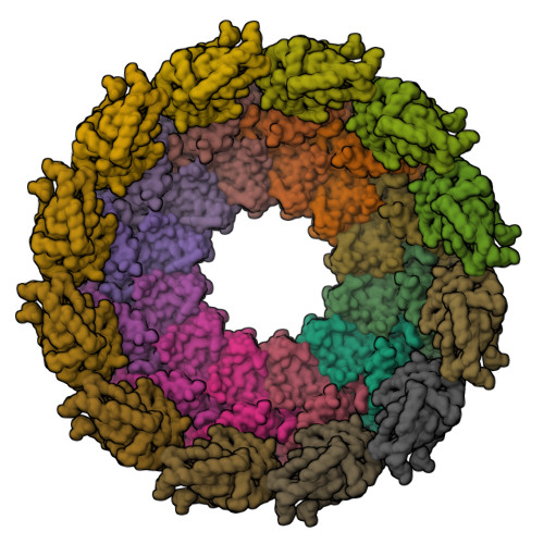 RCSB PDB - 8FM9: Nodavirus RNA replication proto-crown, detergent ...