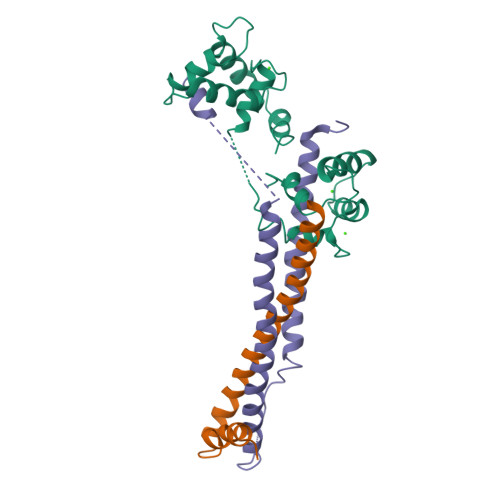 RCSB PDB - 8FMP: Complex structure of K210 deletion Troponin complex ...