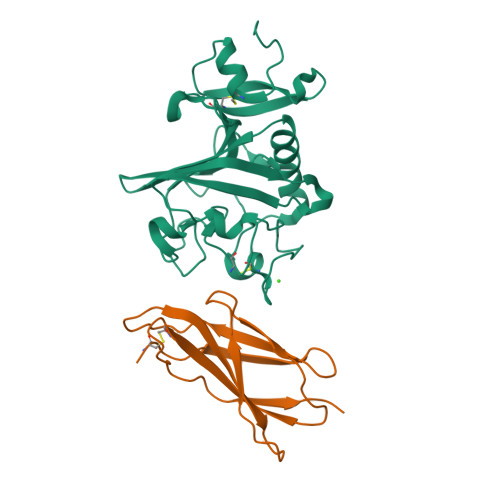 RCSB PDB - 8FN8: Crystal structure of the C-terminal Fg domain of TNC ...