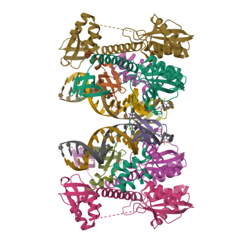 RCSB PDB - 8FNM: Structure of G140A/Q148K HIV-1 intasome with ...