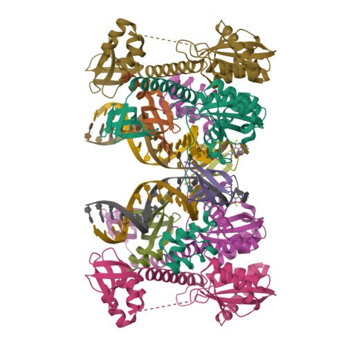 RCSB PDB - 8FNO: Structure of E138K/G140A/Q148R HIV-1 intasome with ...