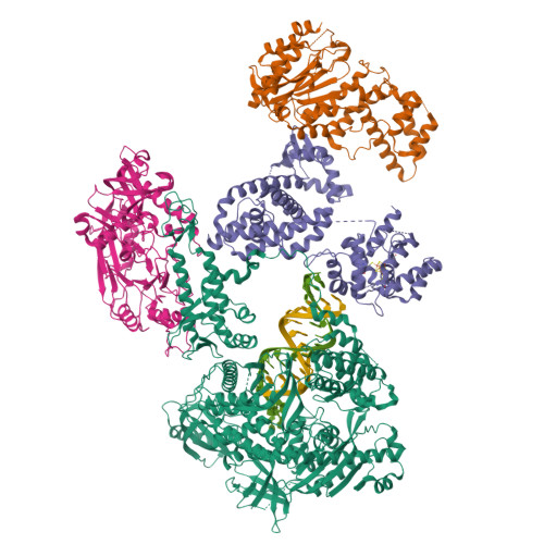 RCSB PDB - 8FOK: Cryo-EM structure of S. cerevisiae DNA polymerase ...