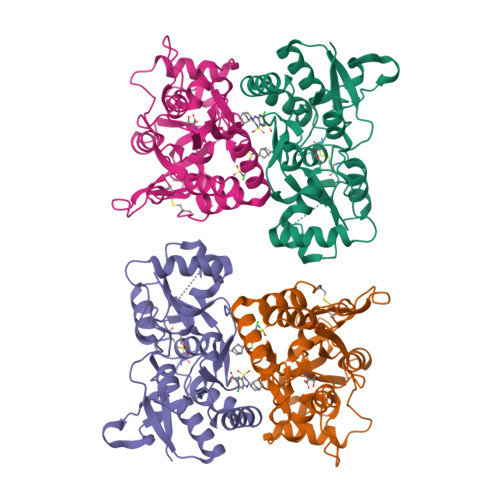 RCSB PDB - 8FPV: LBD conformation 1 (LBDconf1) of GluA2 flip Q isoform ...