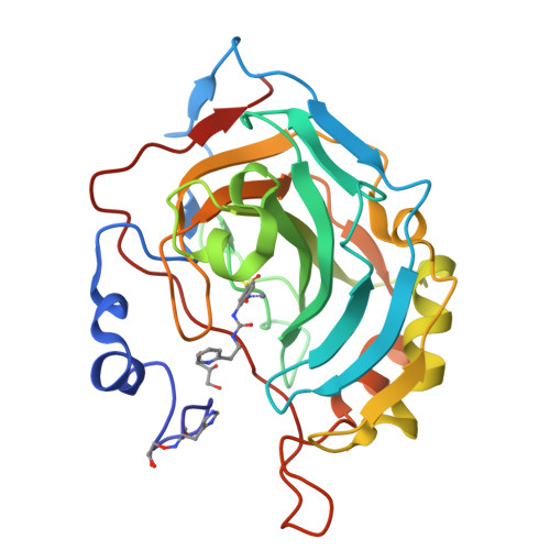RCSB PDB - 8FR2: Carbonic Anhydrase IX-mimic in complex with the alkyl ...