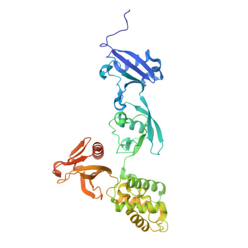 RCSB PDB - 8FTB: Crystal structure of integrin beta-2 tail bound to the ...